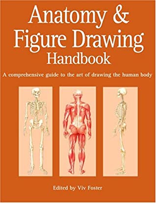 Anatomy and Figure Drawing Handbook: A Comprehensive Guide to the Art ...