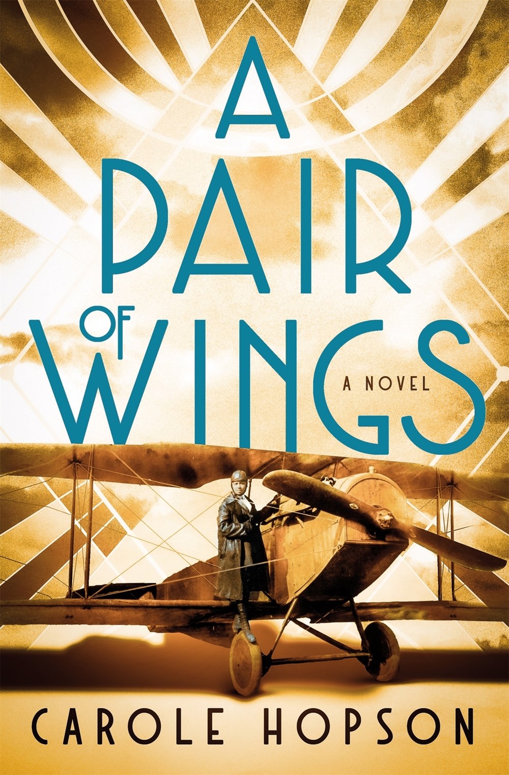 A Pair of Wings by Carole Hopson | The StoryGraph