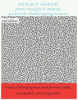 ADULT MAZE AND PUZZLE BOOK 40 brain challenging mazes A brain ...