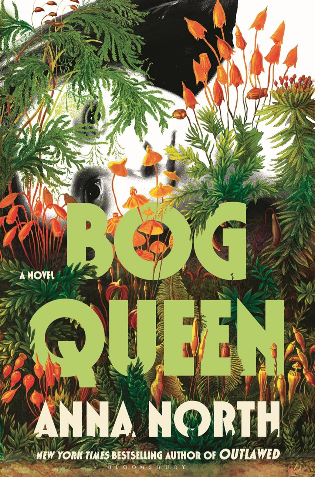 Bog Queen by Anna North | The StoryGraph
