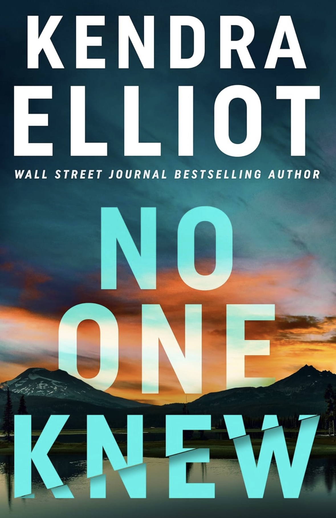 No One Knew by Kendra Elliot | The StoryGraph