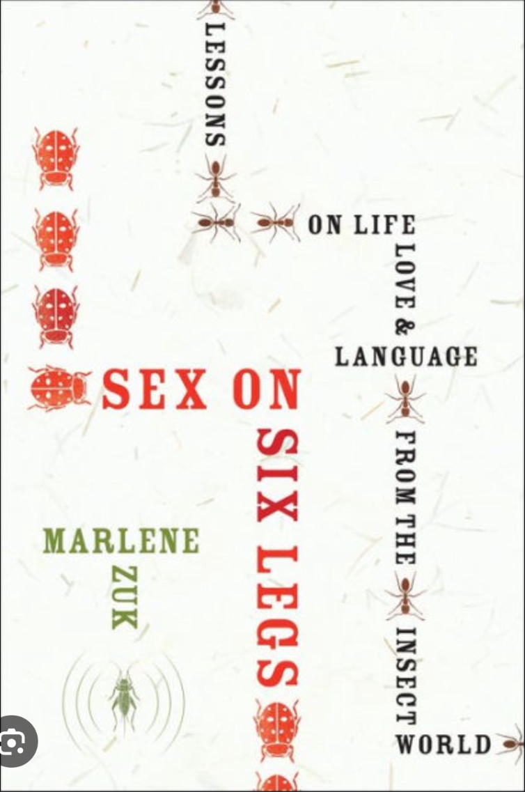 Sex on Six Legs: Lessons on Life, Love, and Language from the Insect ...