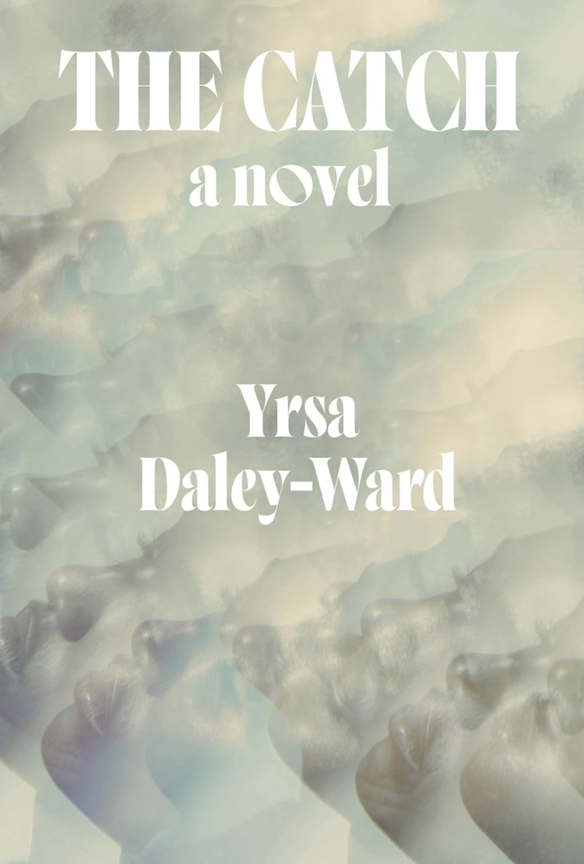 The Catch by Yrsa Daley-Ward | The StoryGraph