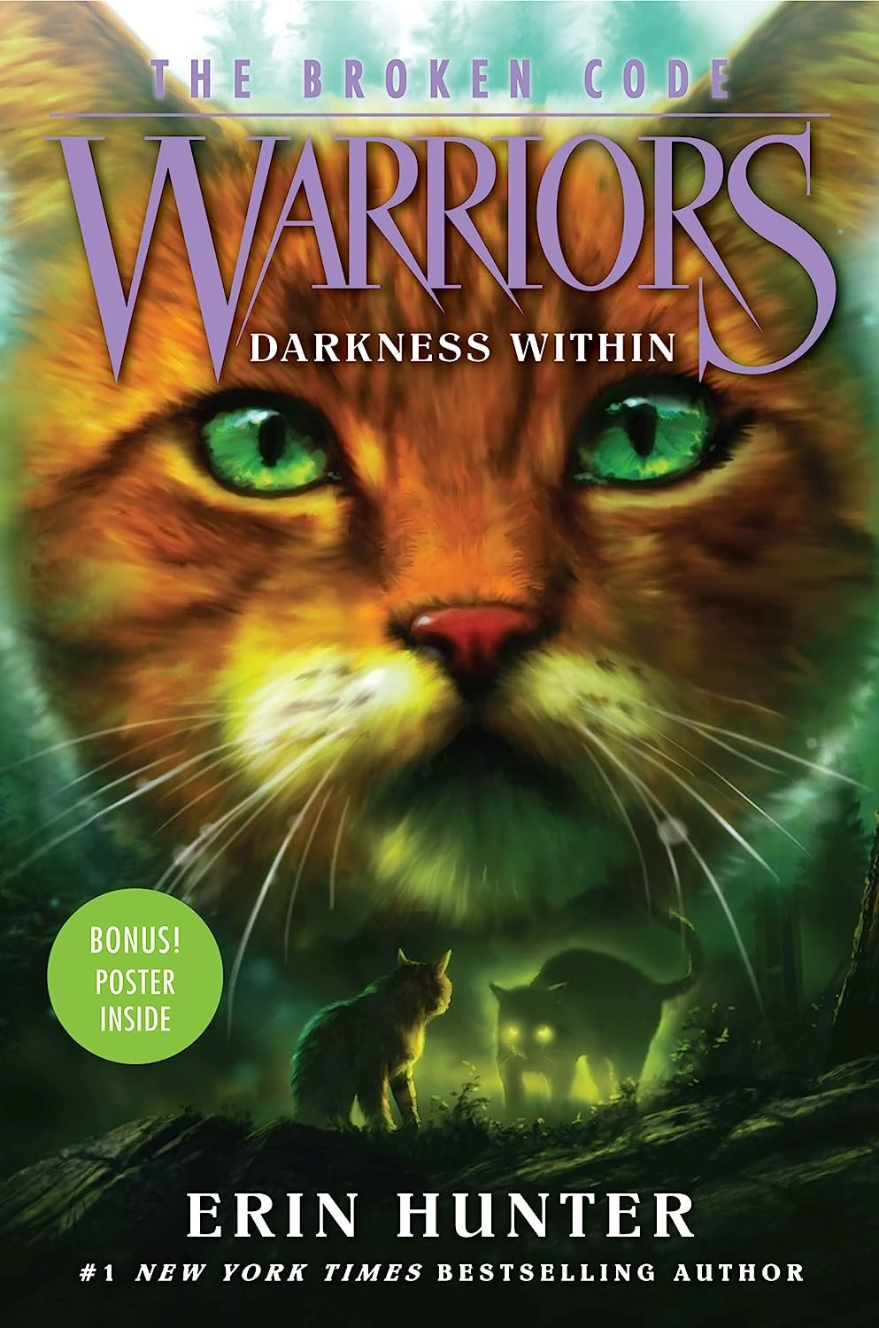 Warriors: The Broken Code #4: Darkness Within by Erin Hunter | The ...