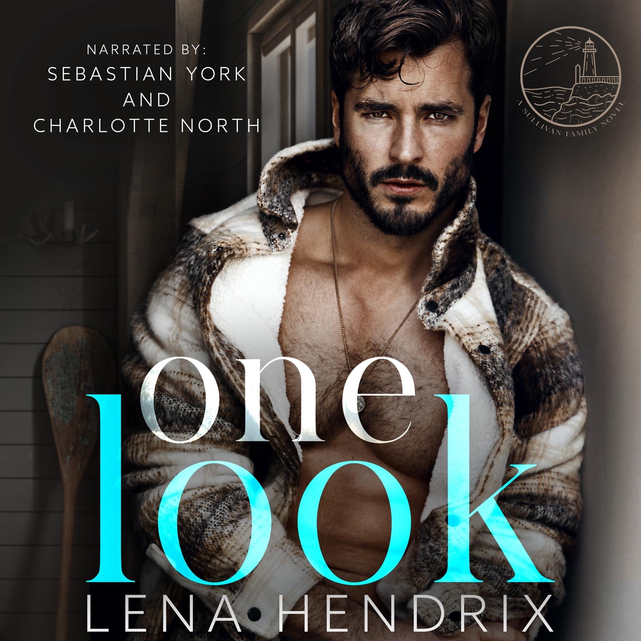 One Look by Lena Hendrix | The StoryGraph