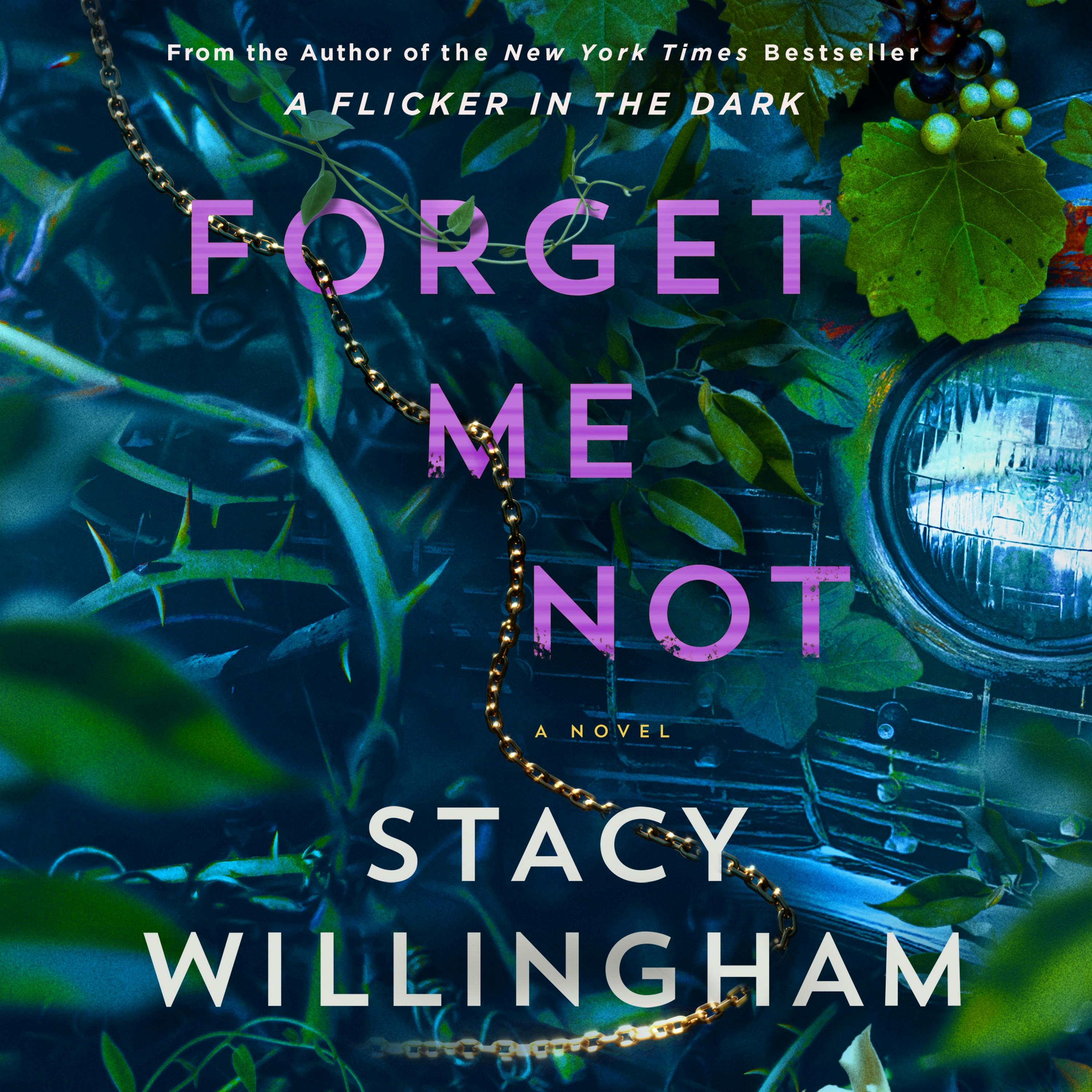 Forget Me Not by Stacy Willingham | The StoryGraph