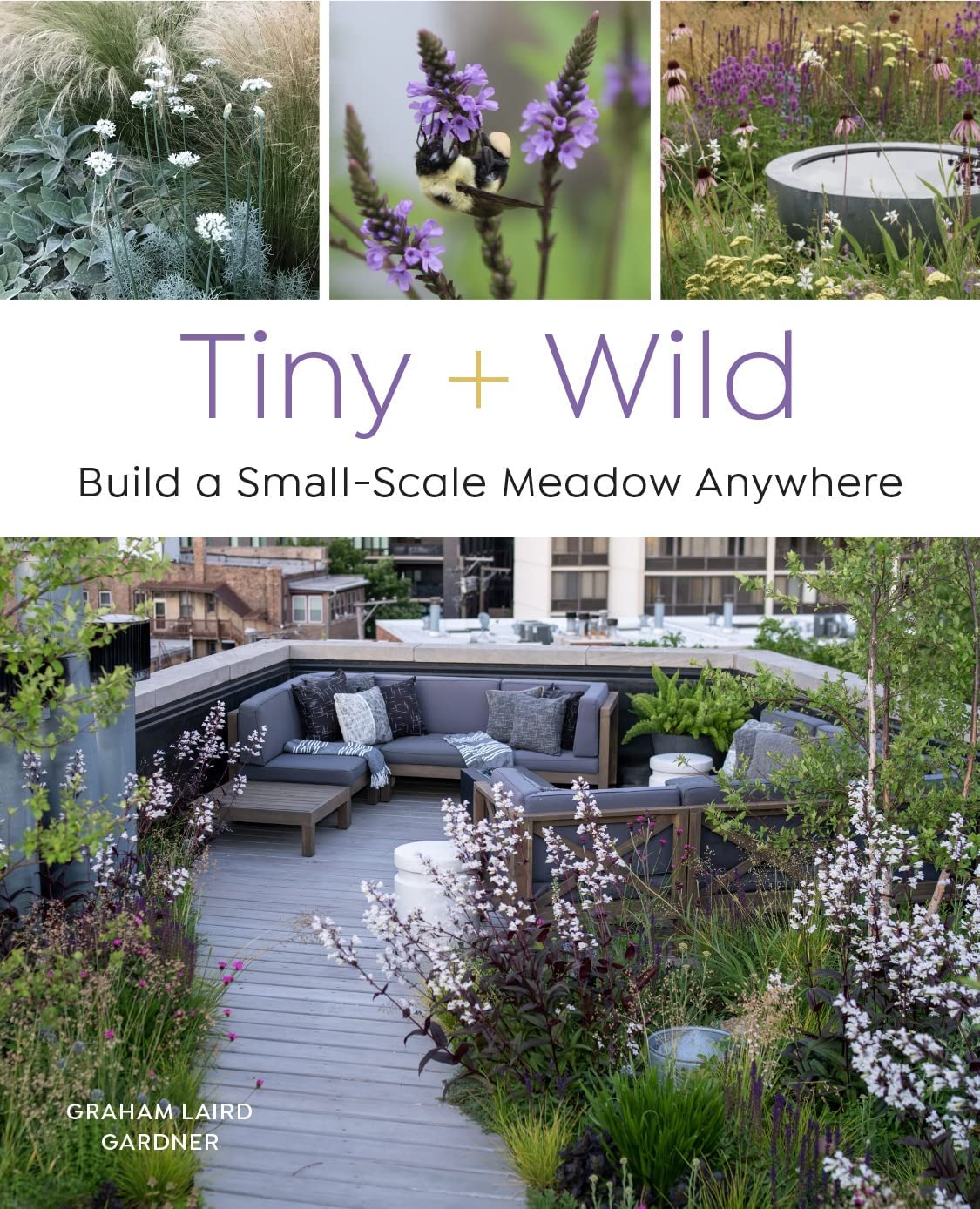 Tiny & Wild: Build a Small-Scale Meadow Anywhere by Graham Laird ...