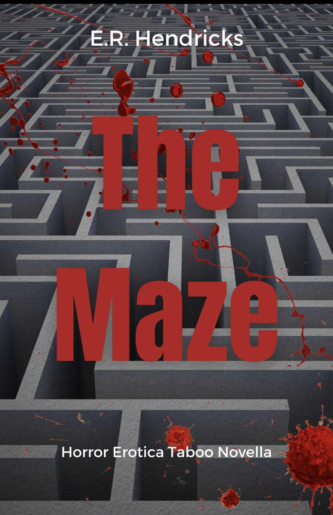 The Maze by E.R. Hendricks | The StoryGraph