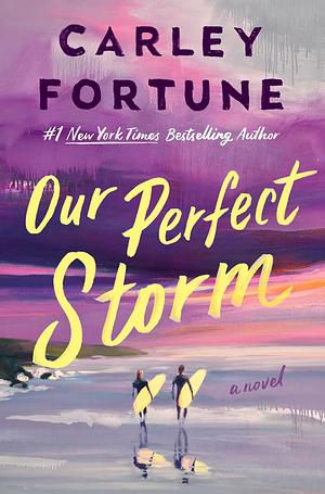 Our Perfect Storm by Carley Fortune | The StoryGraph