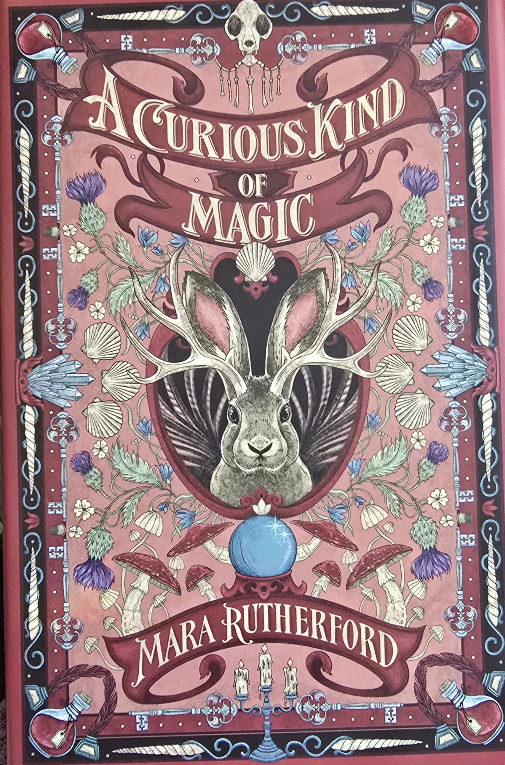 A Curious Kind of Magic by Mara Rutherford | The StoryGraph