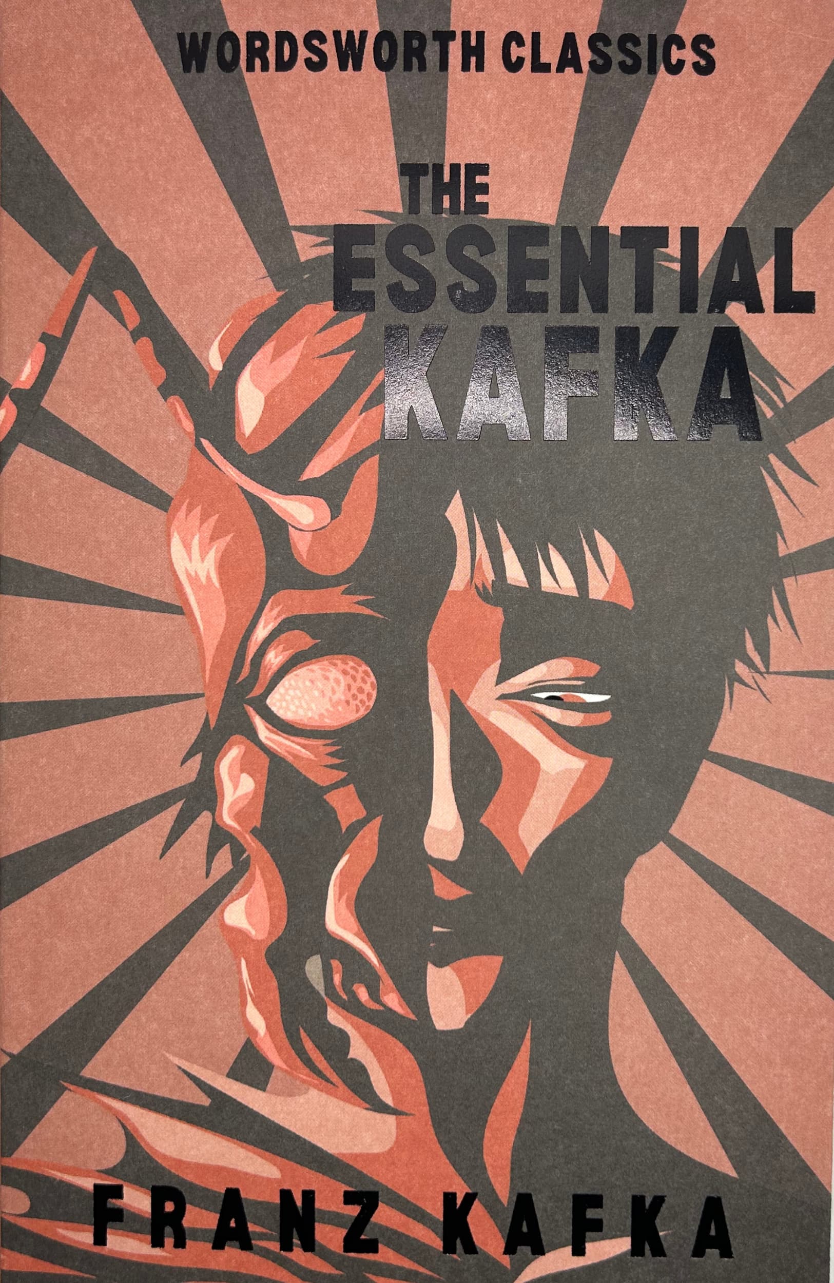 The Essential Kafka: The Castle; The Trial; Metamorphosis and Other ...