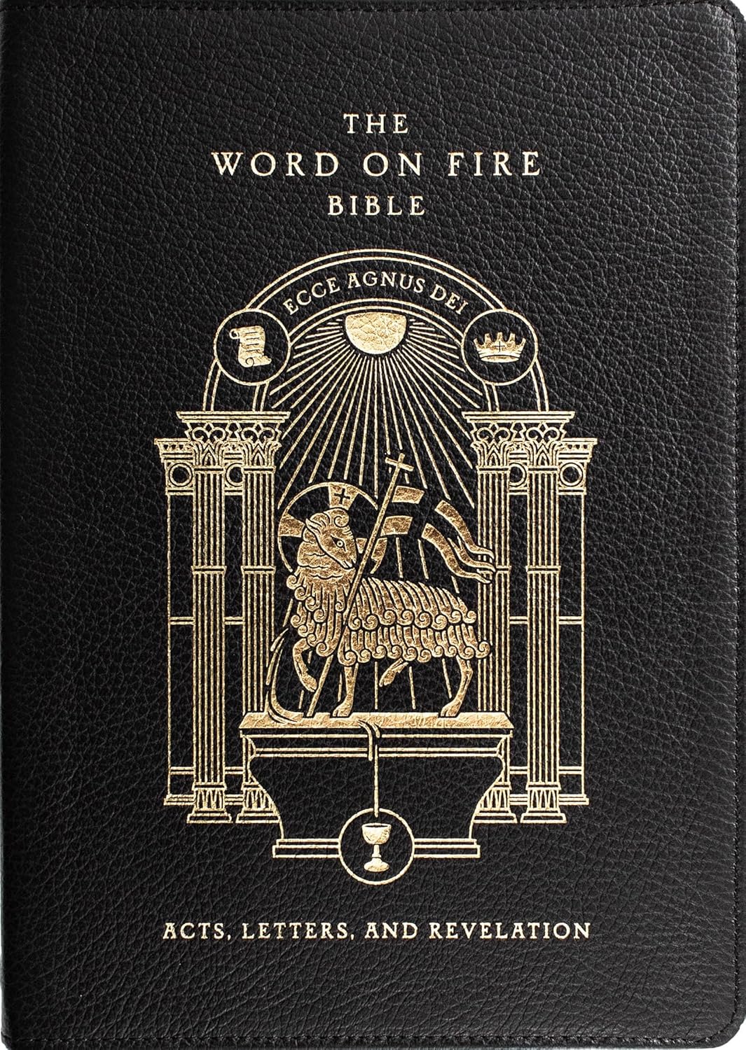 The Word on Fire Bible: Acts, Letters, and Revelation (Volume II) by ...