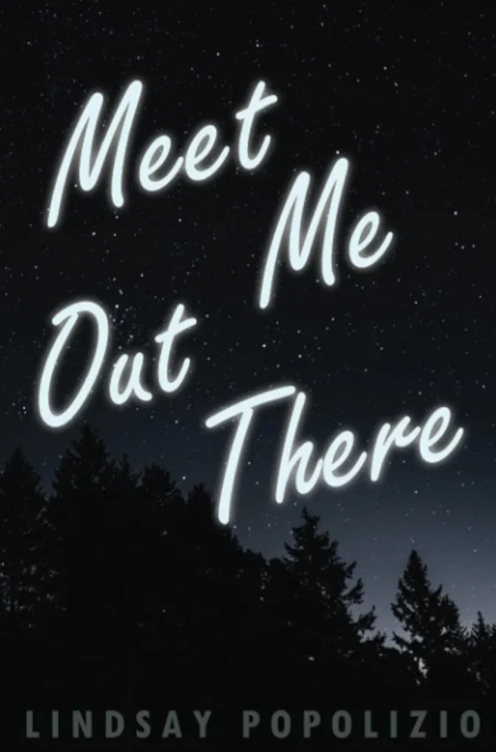 Giveaway for Meet Me Out There, hosted by lindsaypopolizio | The StoryGraph