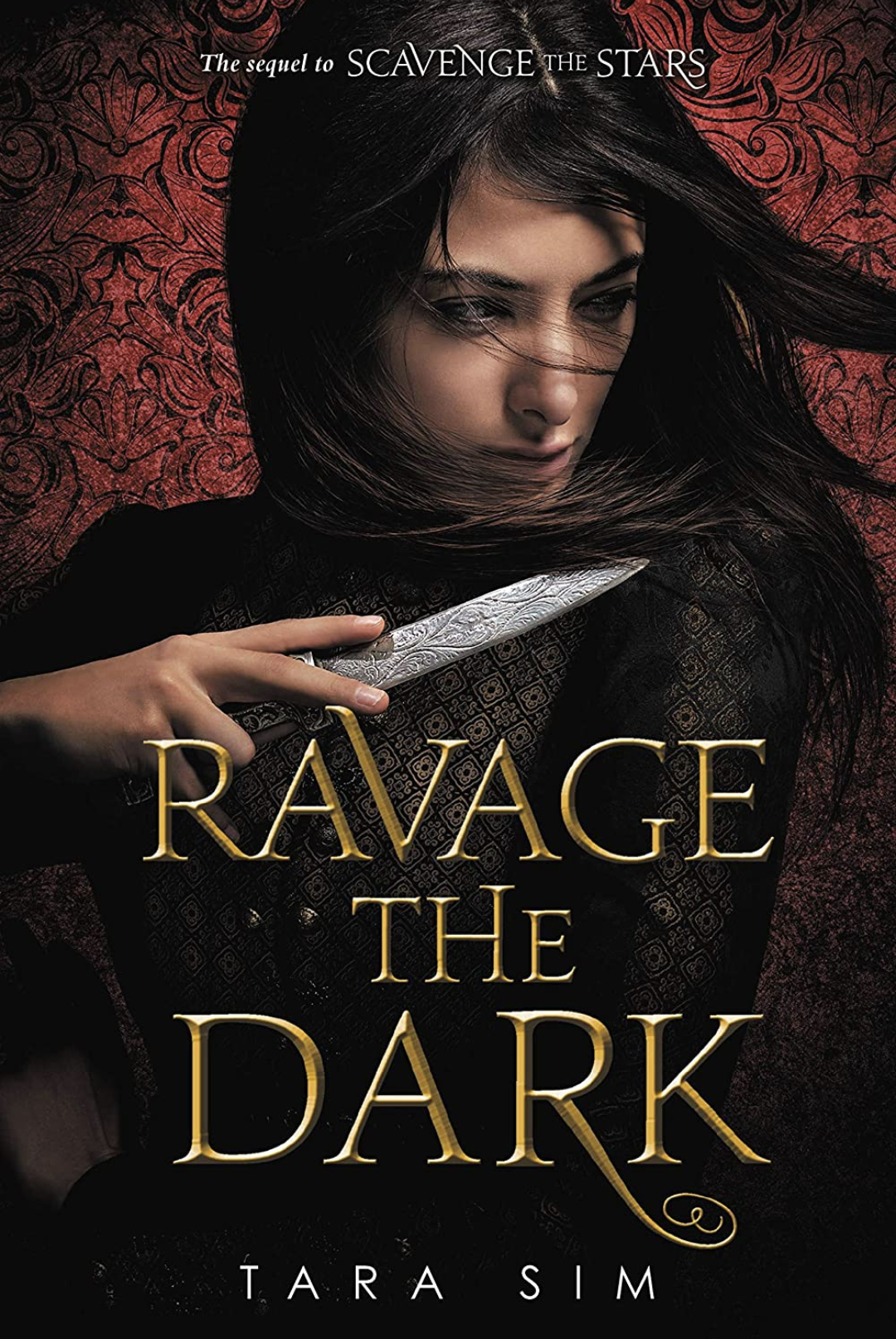 Ravage the Dark by Tara Sim | The StoryGraph
