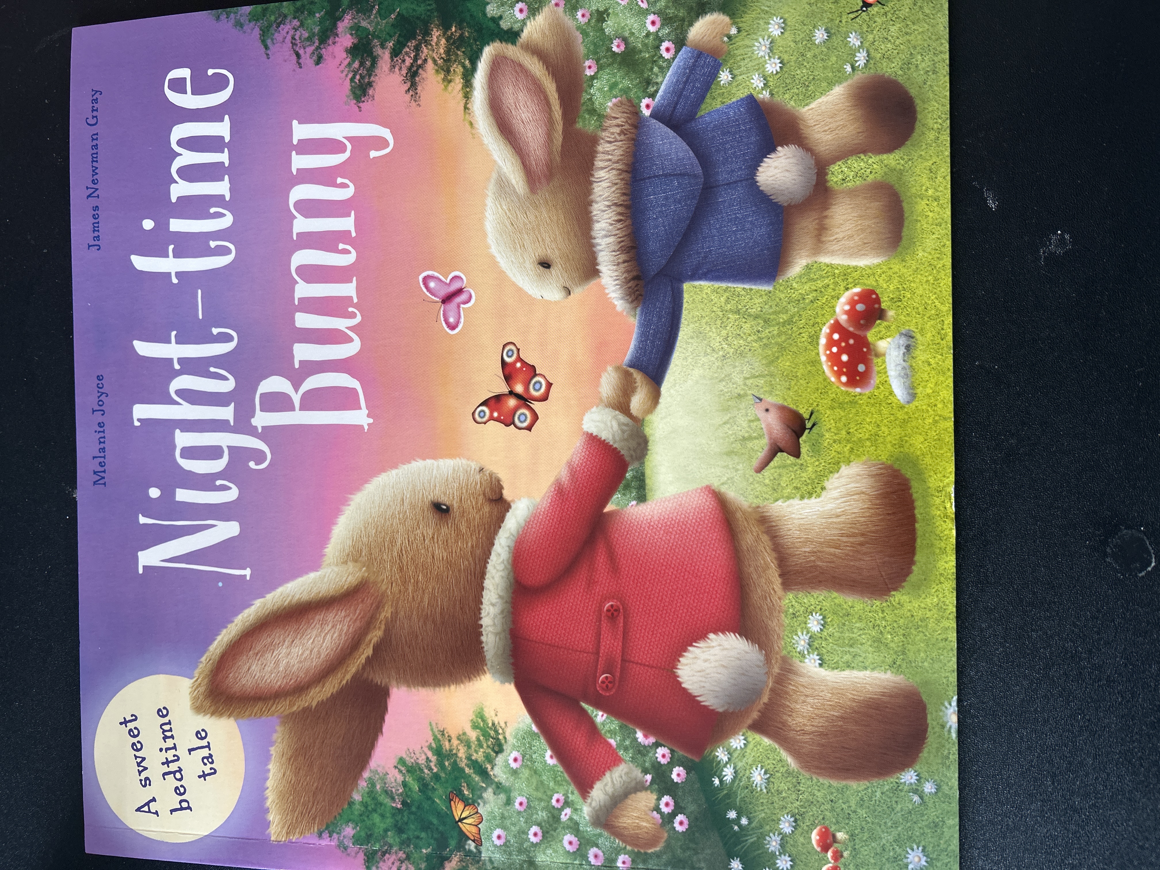 Night-time bunny by Melanie Joyce | The StoryGraph