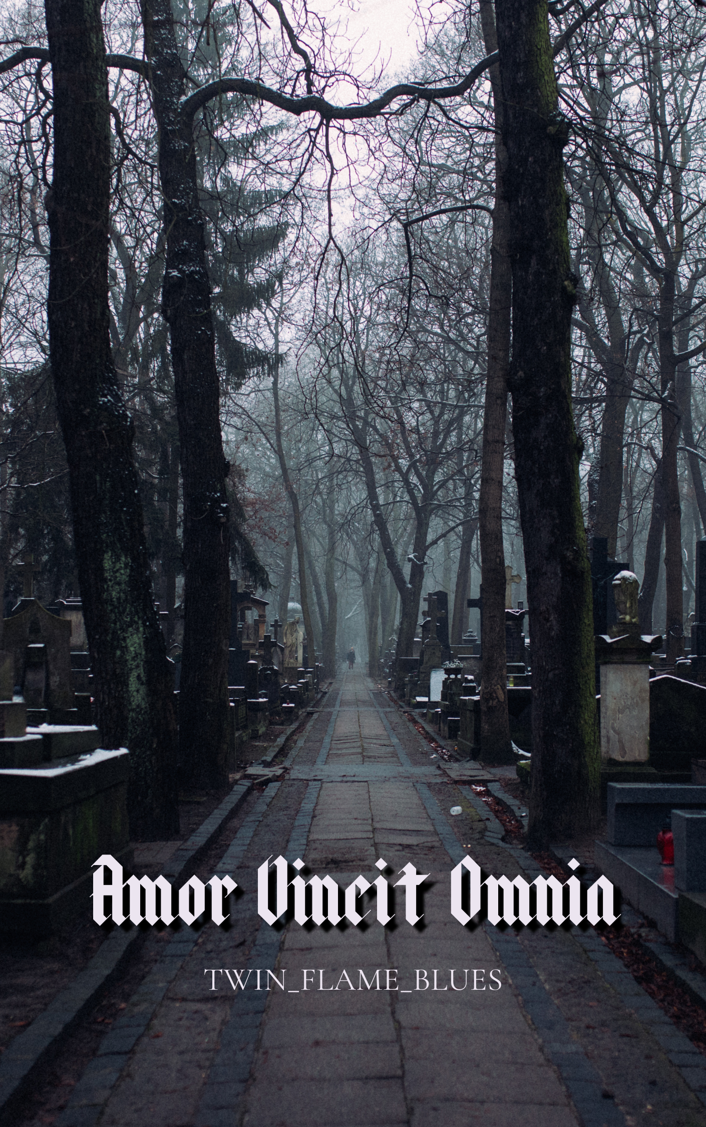 Amor Vincit Omnia by Twin Flame Blues | The StoryGraph