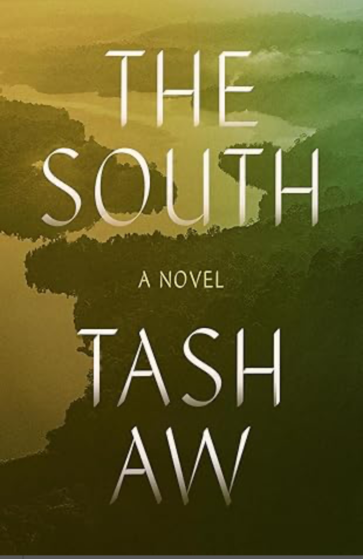 The South by Tash Aw | The StoryGraph