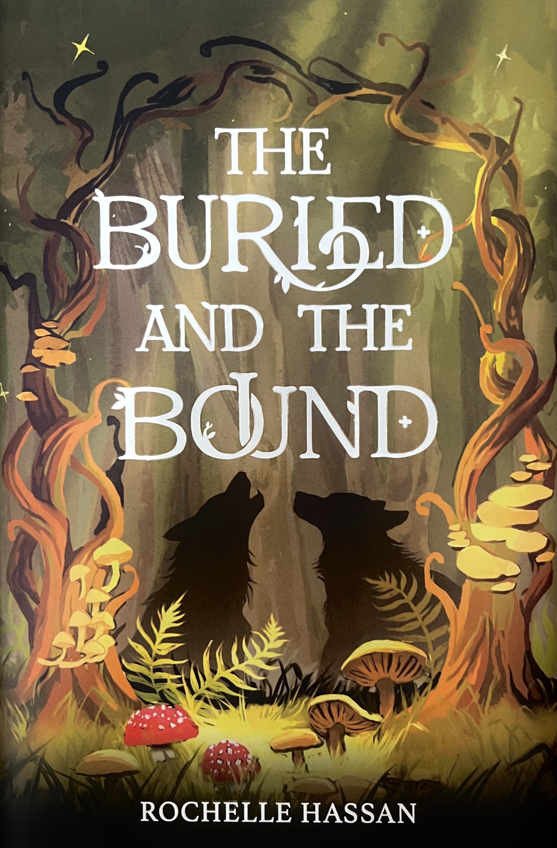The Buried and the Bound by Rochelle Hassan | The StoryGraph