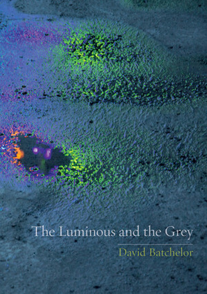 The Luminous and the Grey by David Batchelor | The StoryGraph
