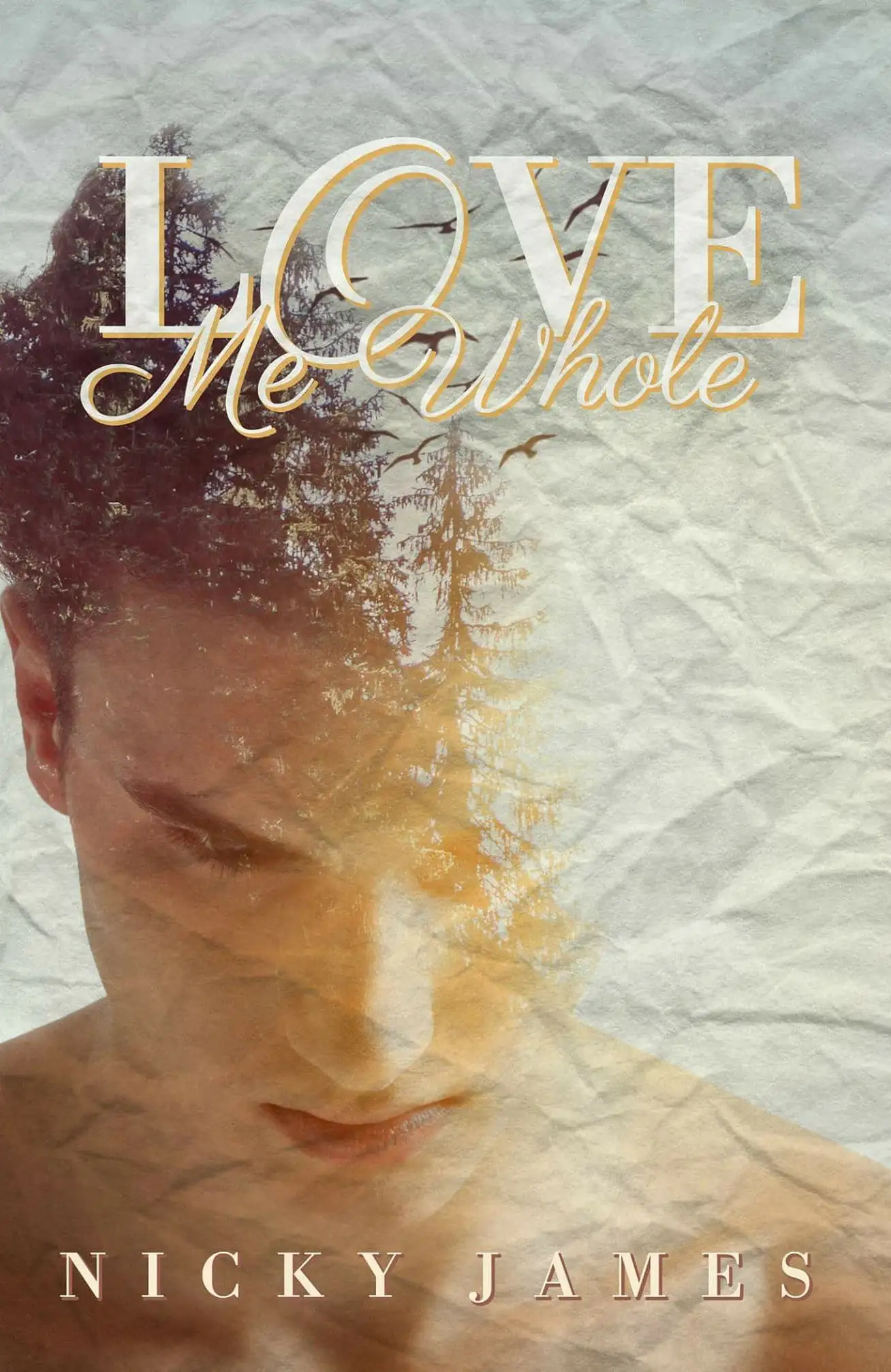 Love Me Whole by Nicky James | The StoryGraph