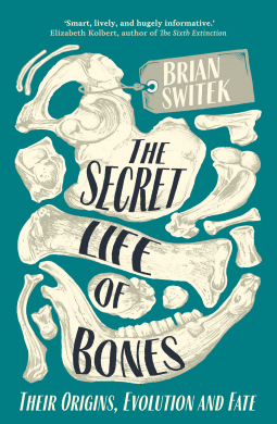 The Secret Life of Bones by Brian Switek | The StoryGraph