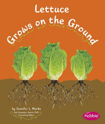 Lettuce Grows on the Ground by Mari Schuh | The StoryGraph