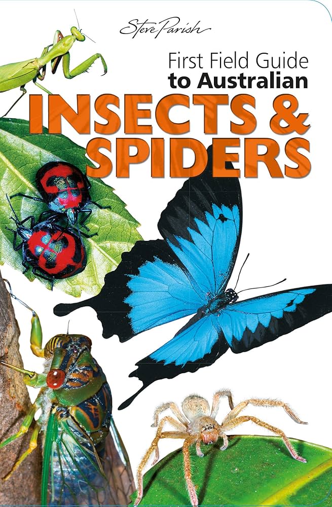 First Field Guide to Australian Insects & Spiders by Pat Slater | The ...