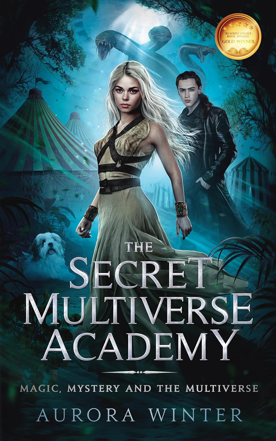 The Secret Multiverse Academy by Aurora Winter | The StoryGraph