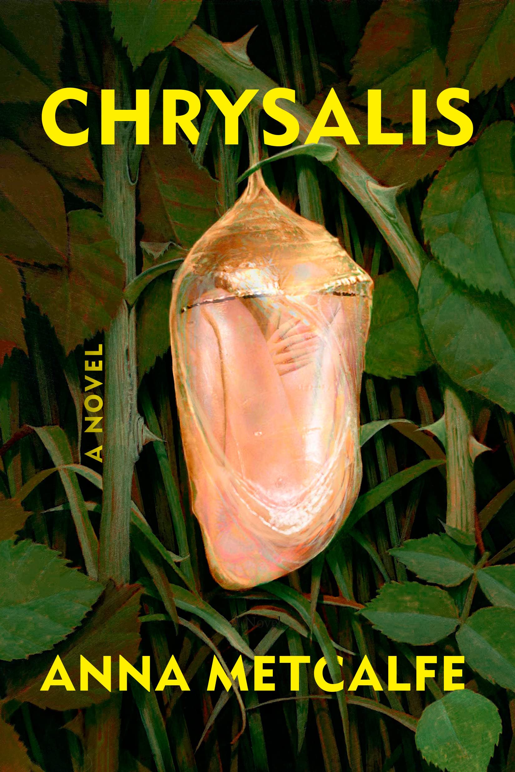 Chrysalis by Anna Metcalfe | The StoryGraph