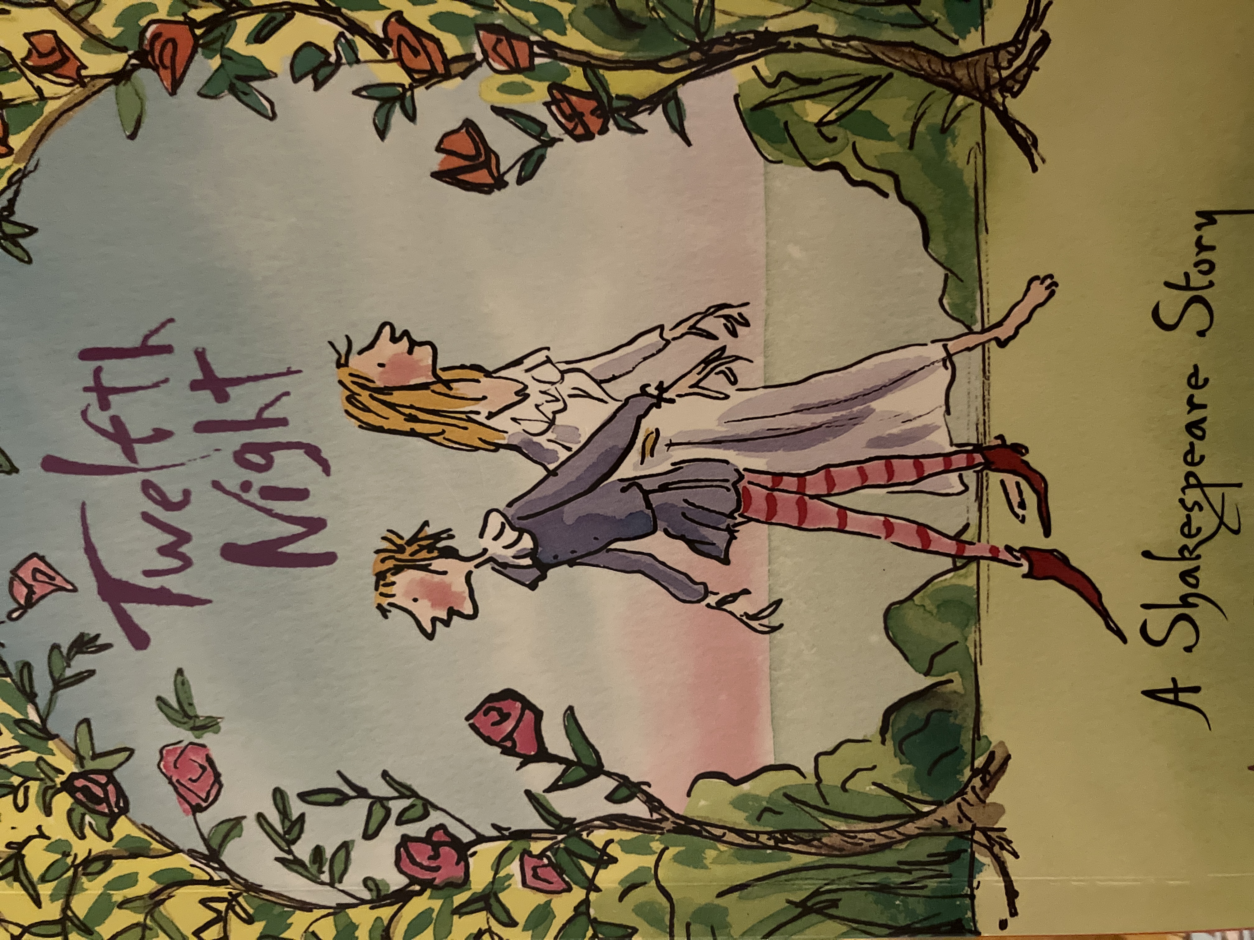 Twelfth night: a Shakespeare story by Andrew Matthews | The StoryGraph