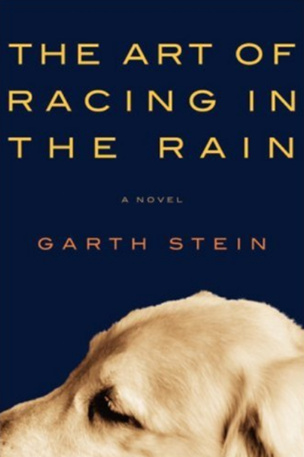 The Art of Racing in the Rain by Garth Stein | The StoryGraph