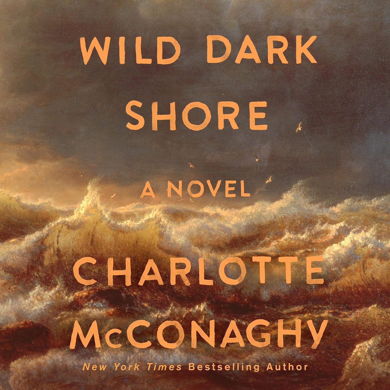 Review by bookwithacherryontop - Wild Dark Shore | The StoryGraph