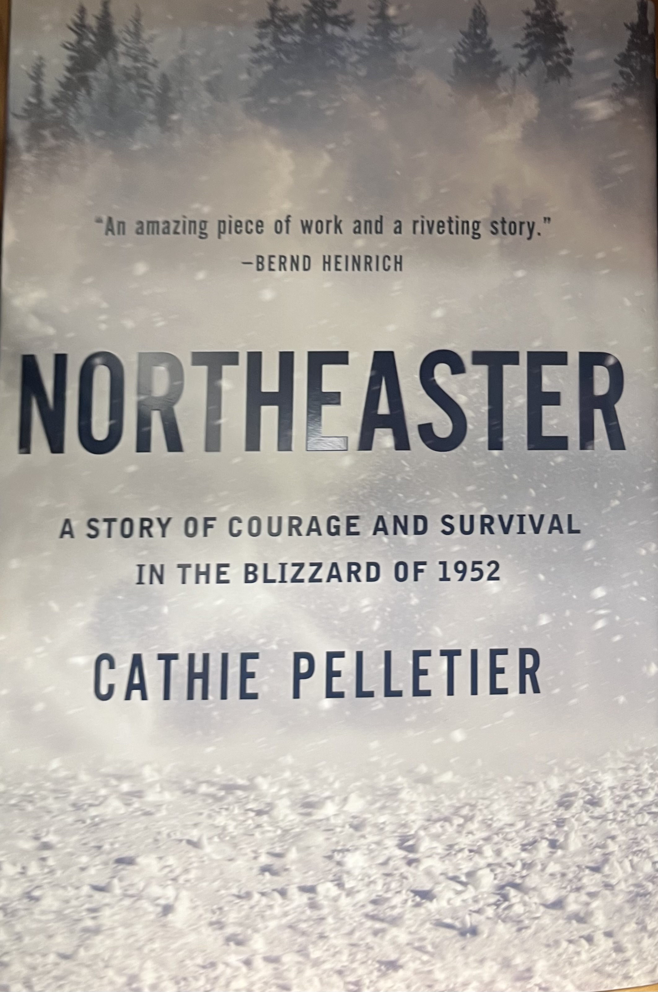 Northeaster: A Story of Courage and Survival in the Blizzard of 1952 by ...
