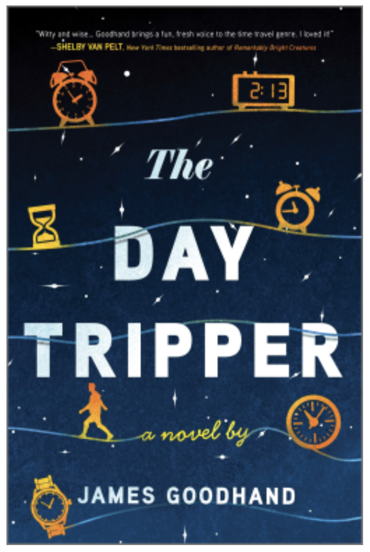 The Day Tripper by James Goodhand | The StoryGraph